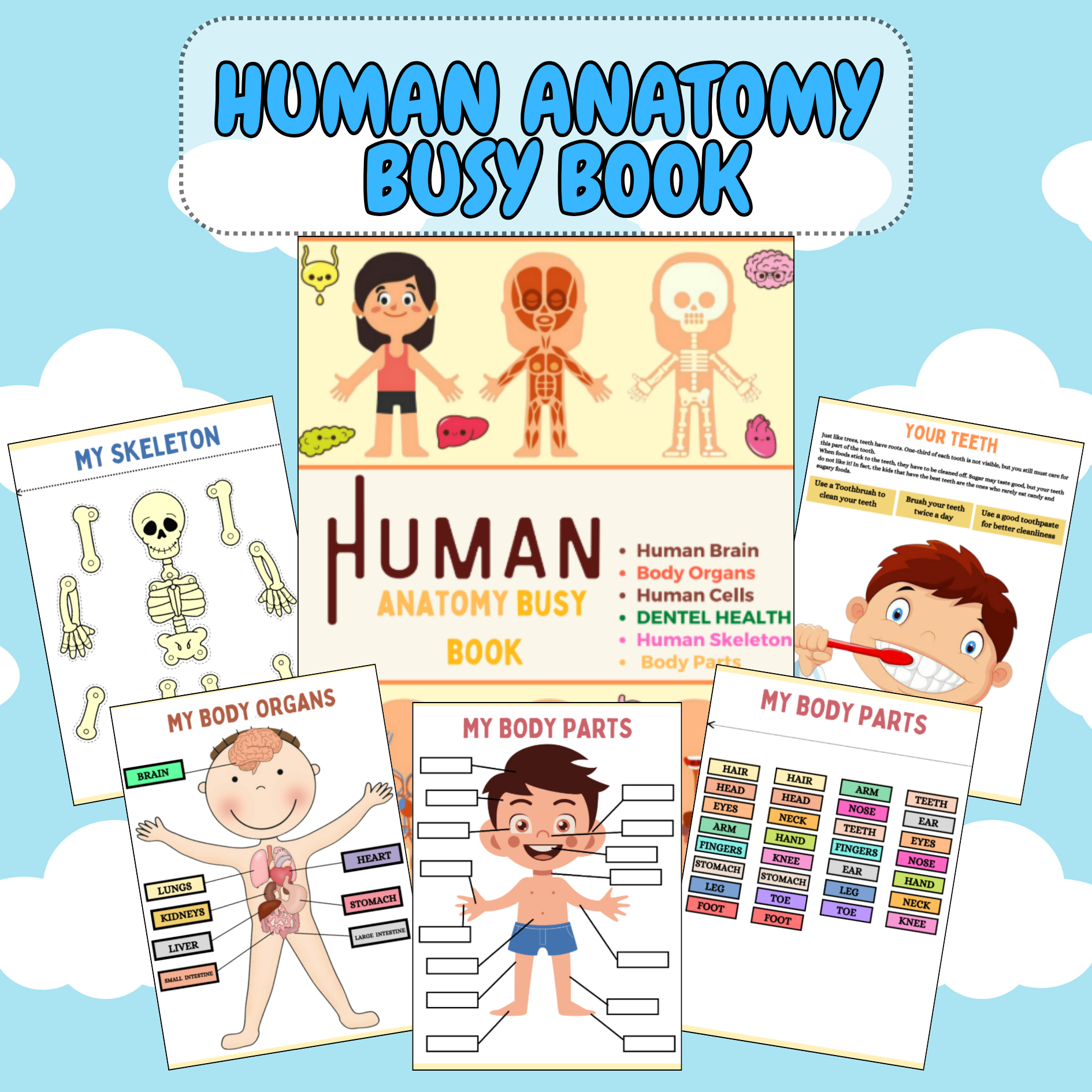 Human Anatomy Busy Book – CRAFTORY